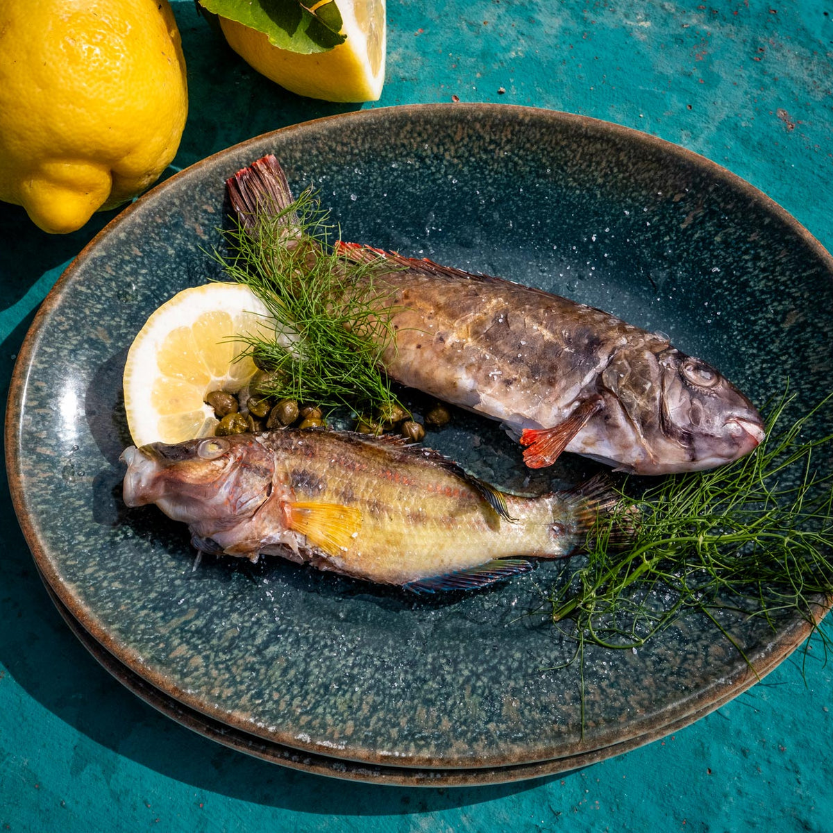 Mediterranean fish grilled with scales