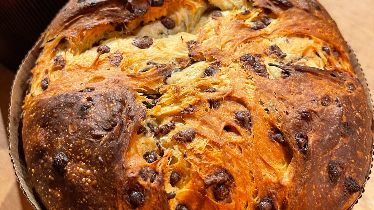 Panettone de chocolate | Receta original Kamado | MONOLITH