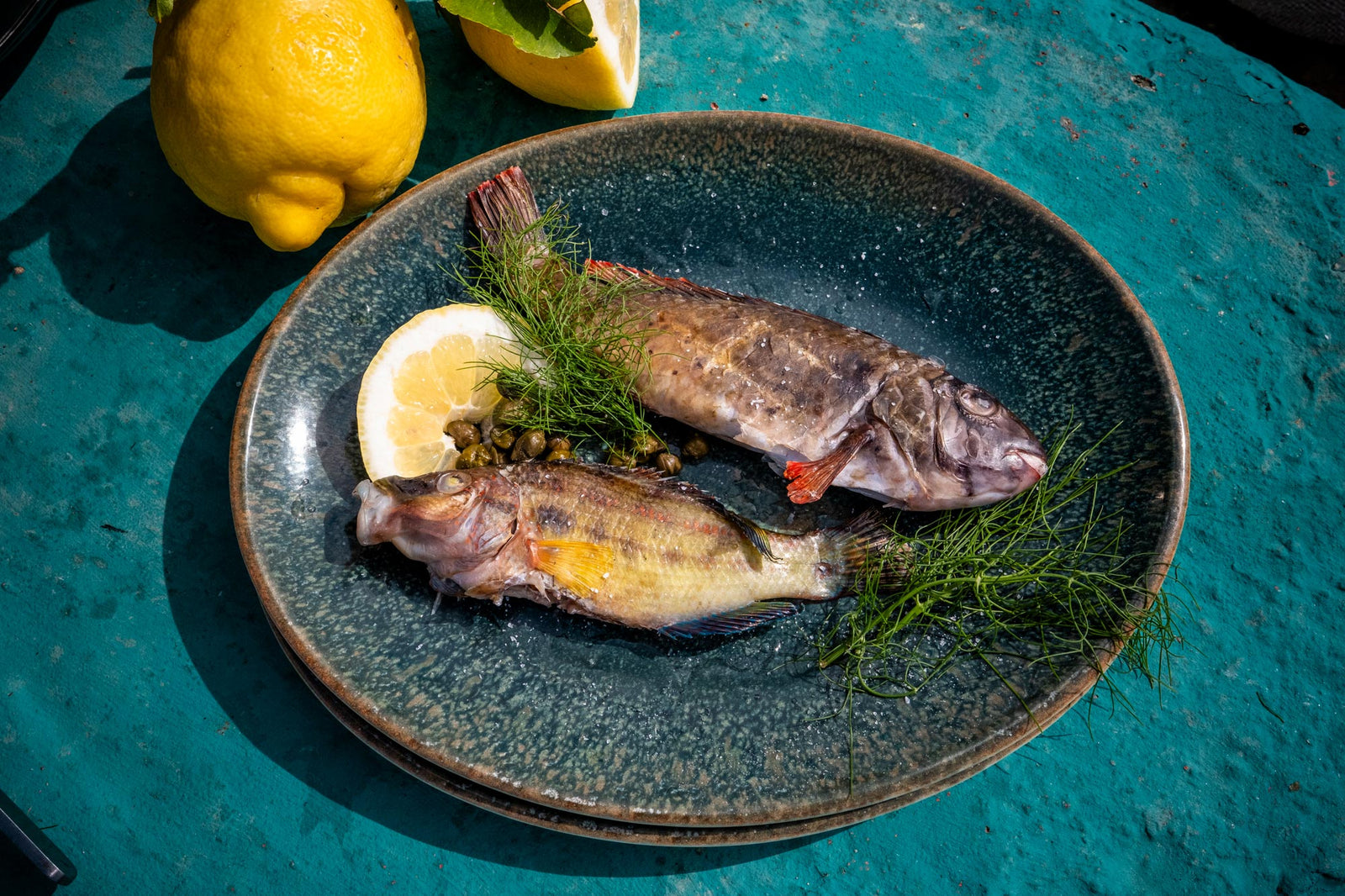 Mediterranean fish grilled with scales